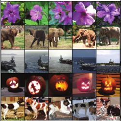 ImageNet Classification with Deep Convolutional Neural Networks ...