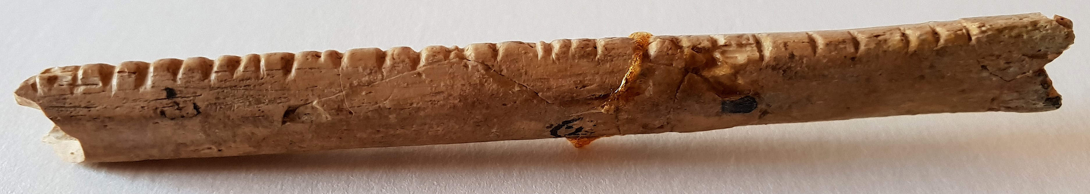 Technical Marvels, Part 2: Lebombo and Ishango Bones – Communications ...