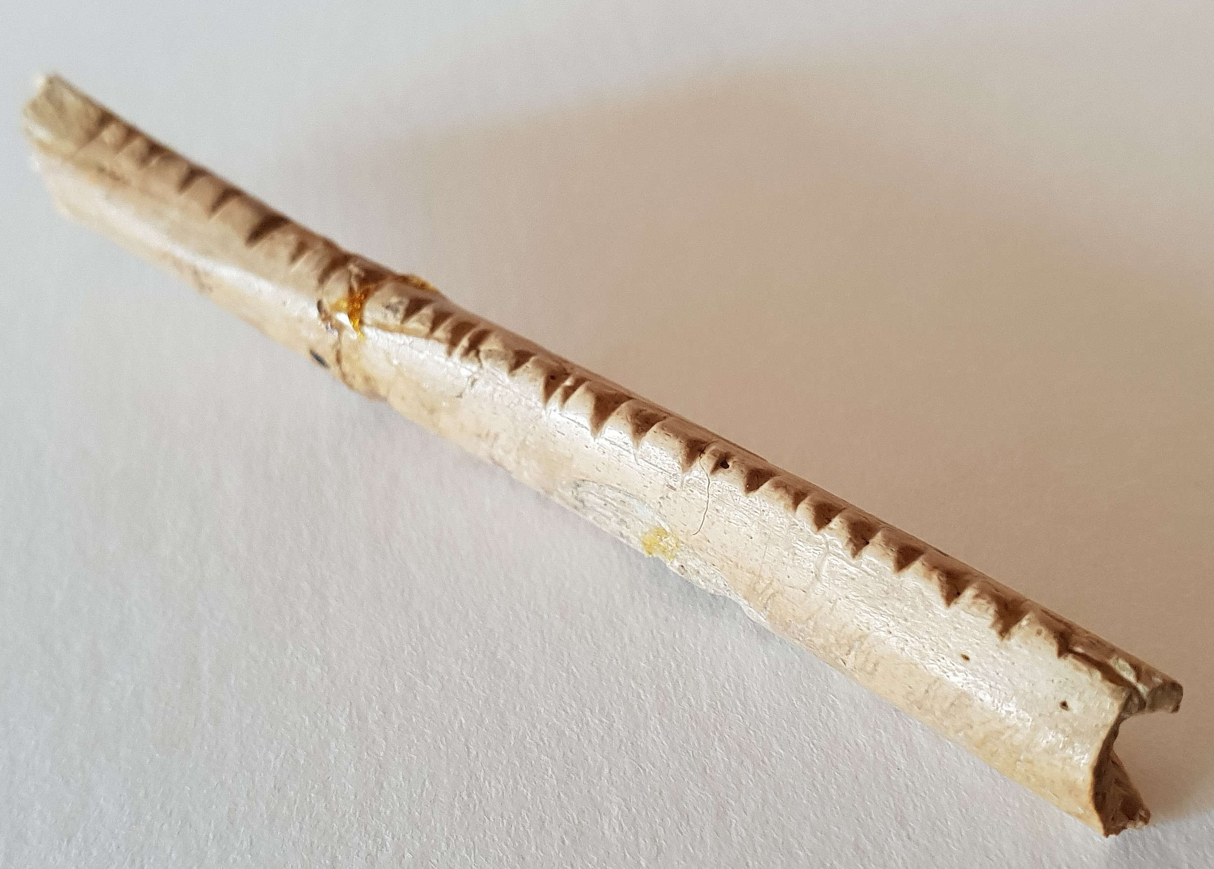 Technical Marvels, Part 2: Lebombo and Ishango Bones – Communications ...