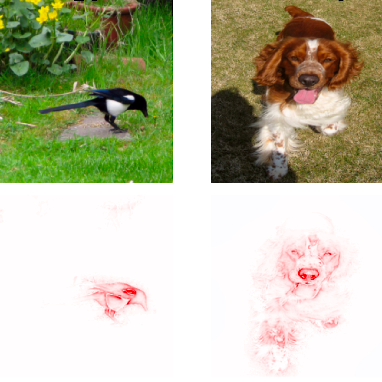 Explaining AI Explainability – Communications of the ACM